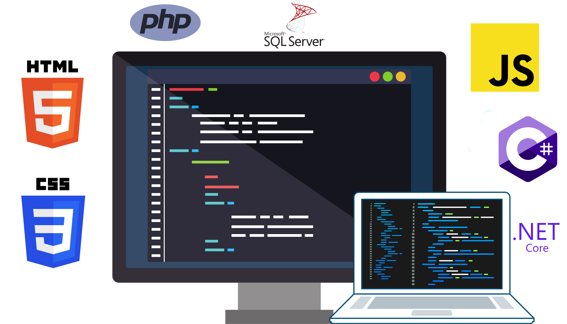 Walviz | programador en curso